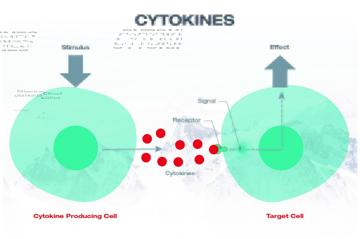 A basic overview of cytokines and why they are important